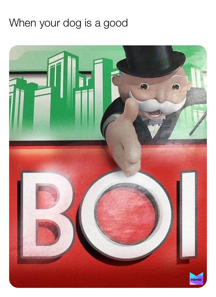 Post by @meme_mp4 | Memes