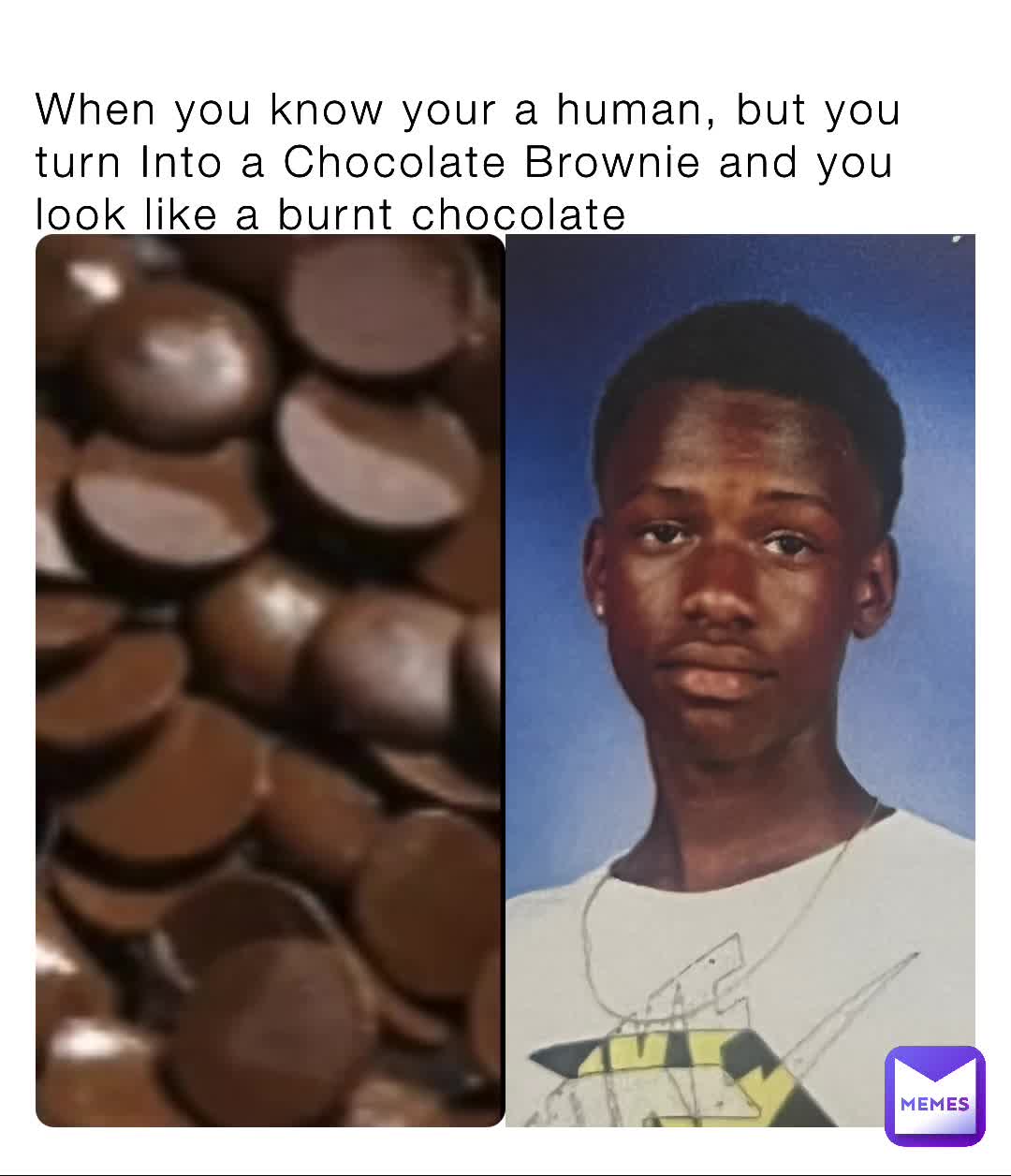 When you know your a human, but you turn Into a Chocolate Brownie and ...