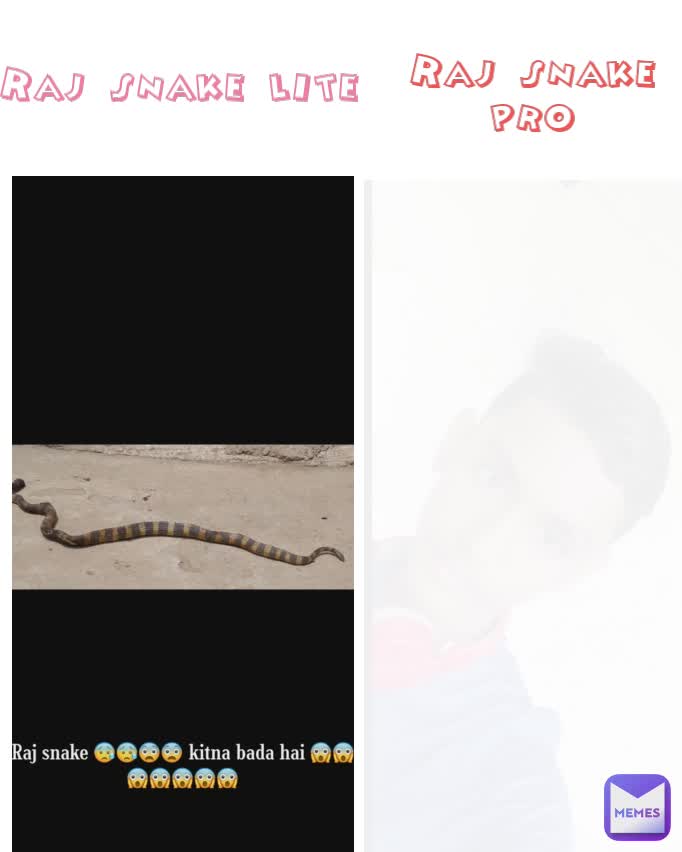 Raj snake pro Raj snake lite | @vishal123singhmunda | Memes
