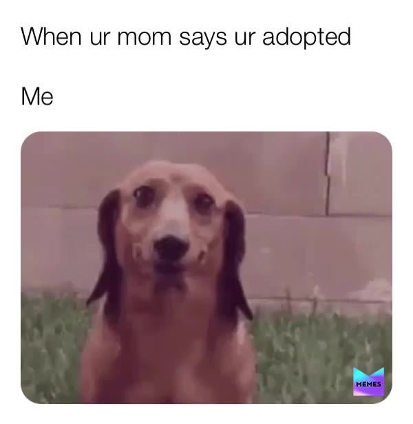 Post by @memes_for_the_sole | Memes