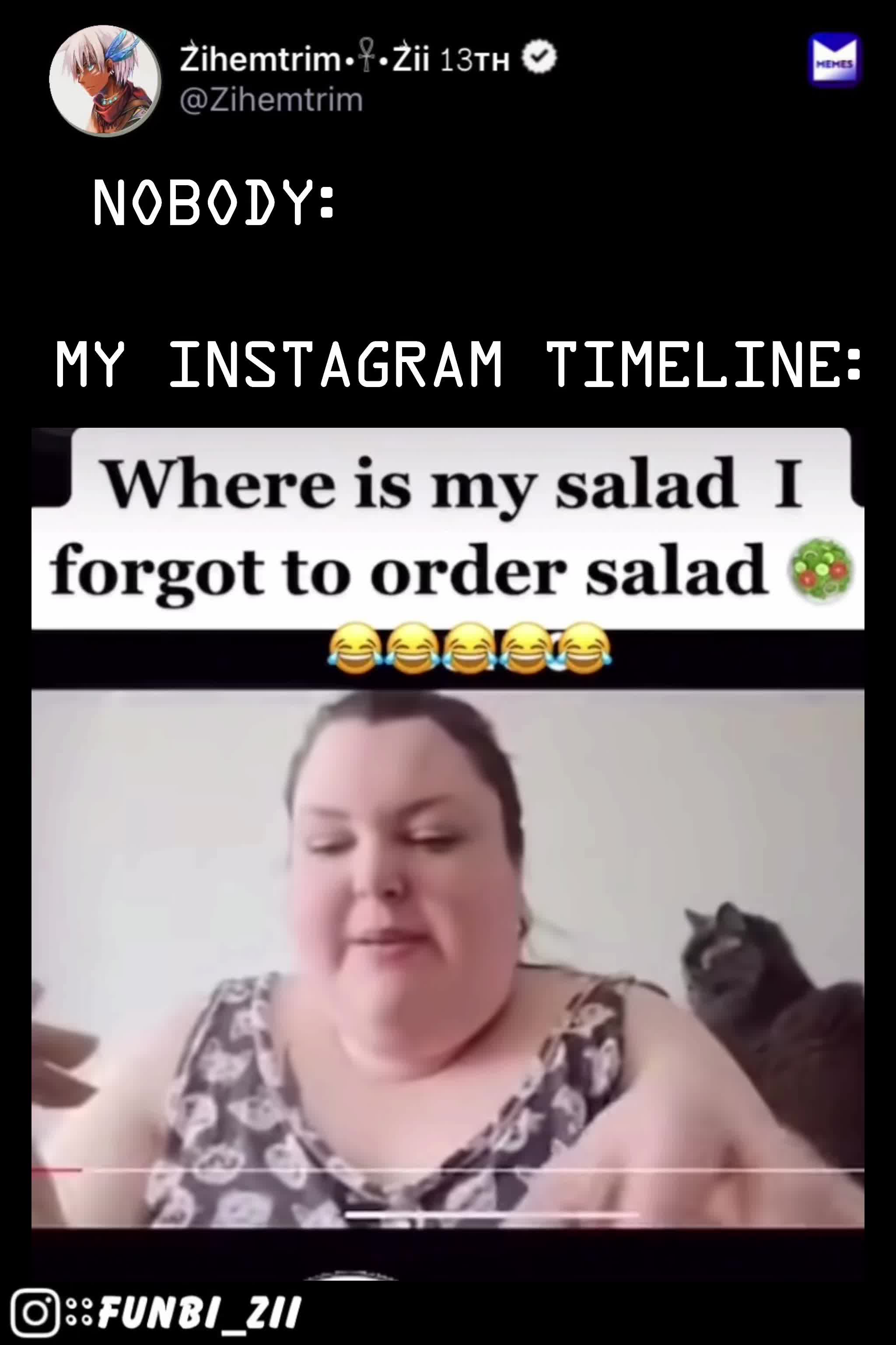 …Nobody: My Instagram Timeline: | @Zihemtrim | Memes