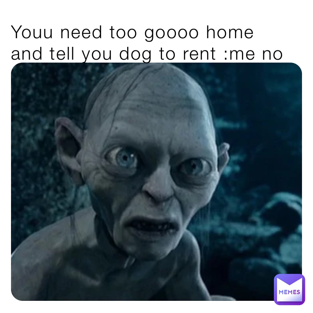 Youu need too goooo home and tell you dog to rent :me no | @catnoir2.0 ...