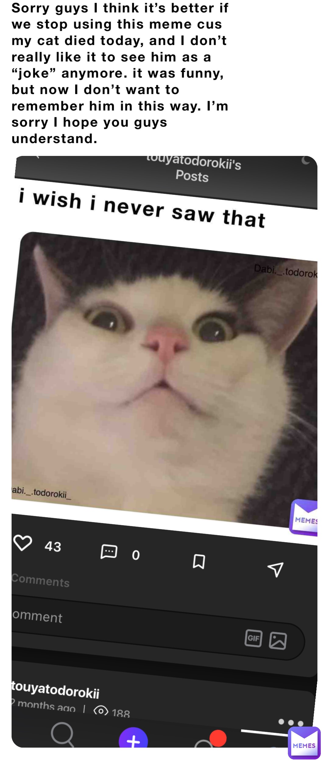 Sorry guys I think it’s better if we stop using this meme cus my cat ...