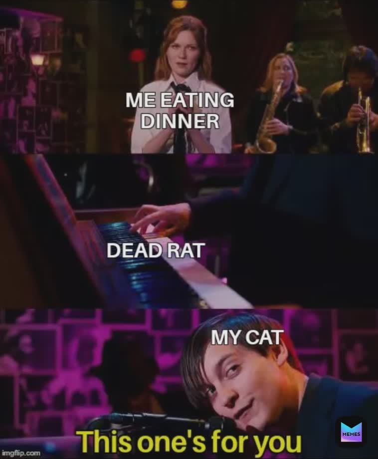 Post by @Zizou_saida | Memes