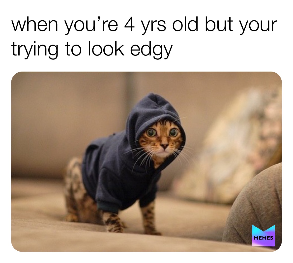 Post by @Kat_kit | Memes