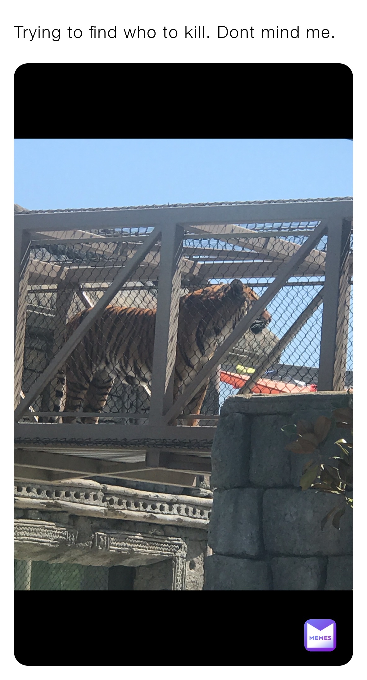 Trying to find who to kill. Dont mind me. | @XxCam_MemesxX | Memes