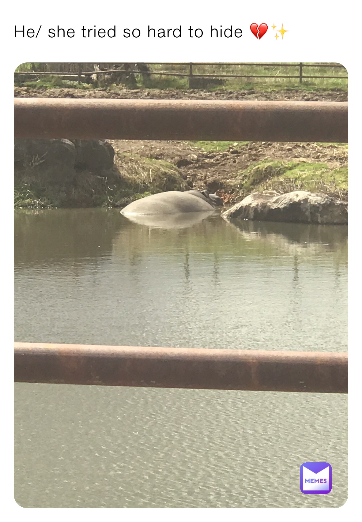 He/ she tried so hard to hide 💔 | @XxCam_MemesxX | Memes