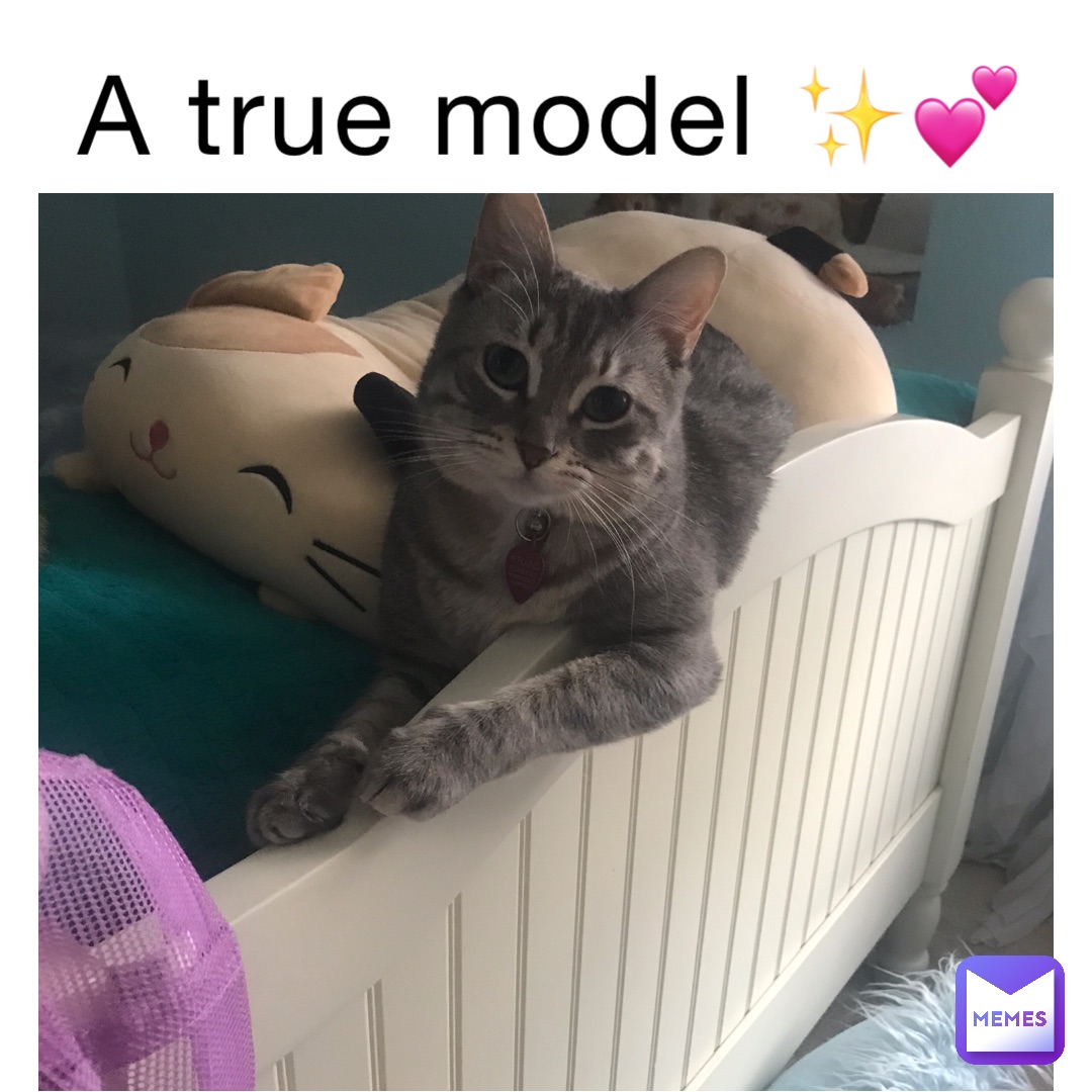 A true model 💕 | @XxCam_MemesxX | Memes