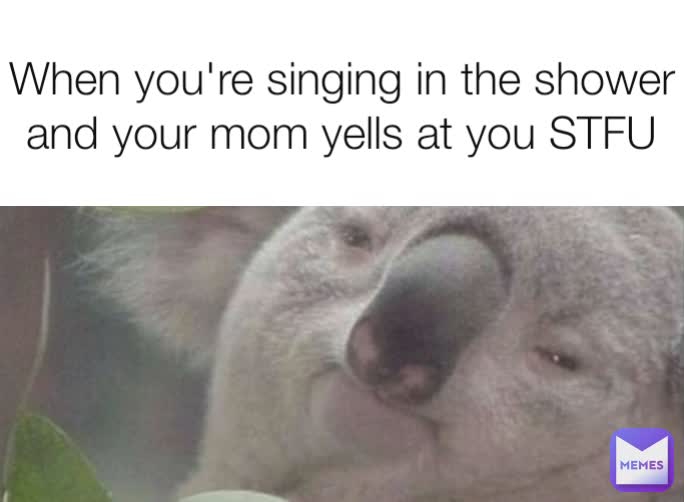 Stoned Koala Meme