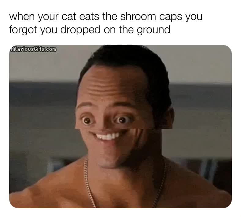 Post by @the_meme_artery | Memes