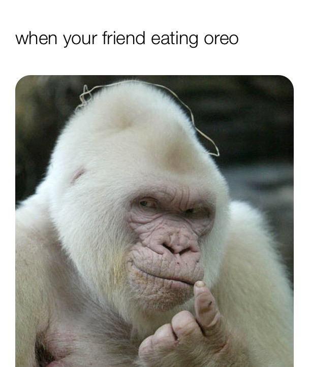 Post by @ioseliani.saba | Memes