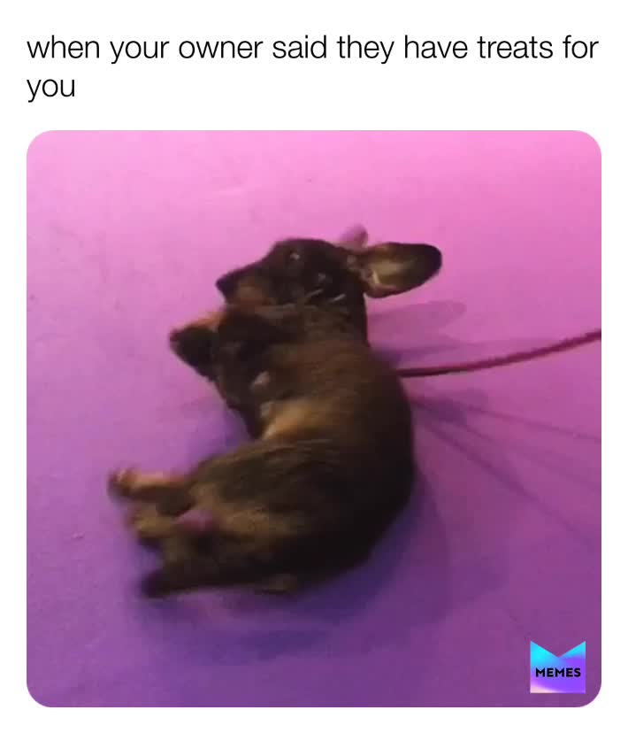 Post by @meme_master_key | Memes