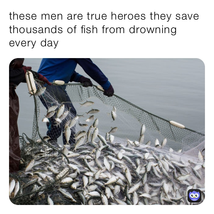 these men are true heroes they save thousands of fish from drowning ...
