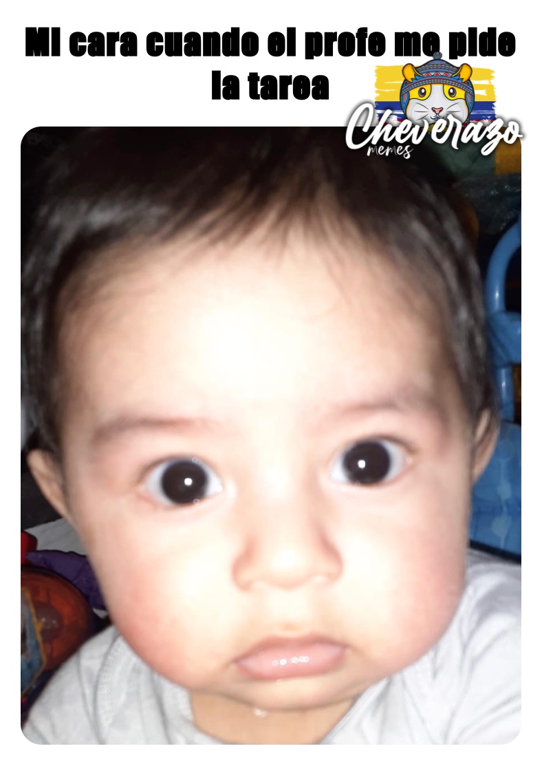 Mi Cara Cuando El Profe Me Pide La Tarea Cheverazo Memes