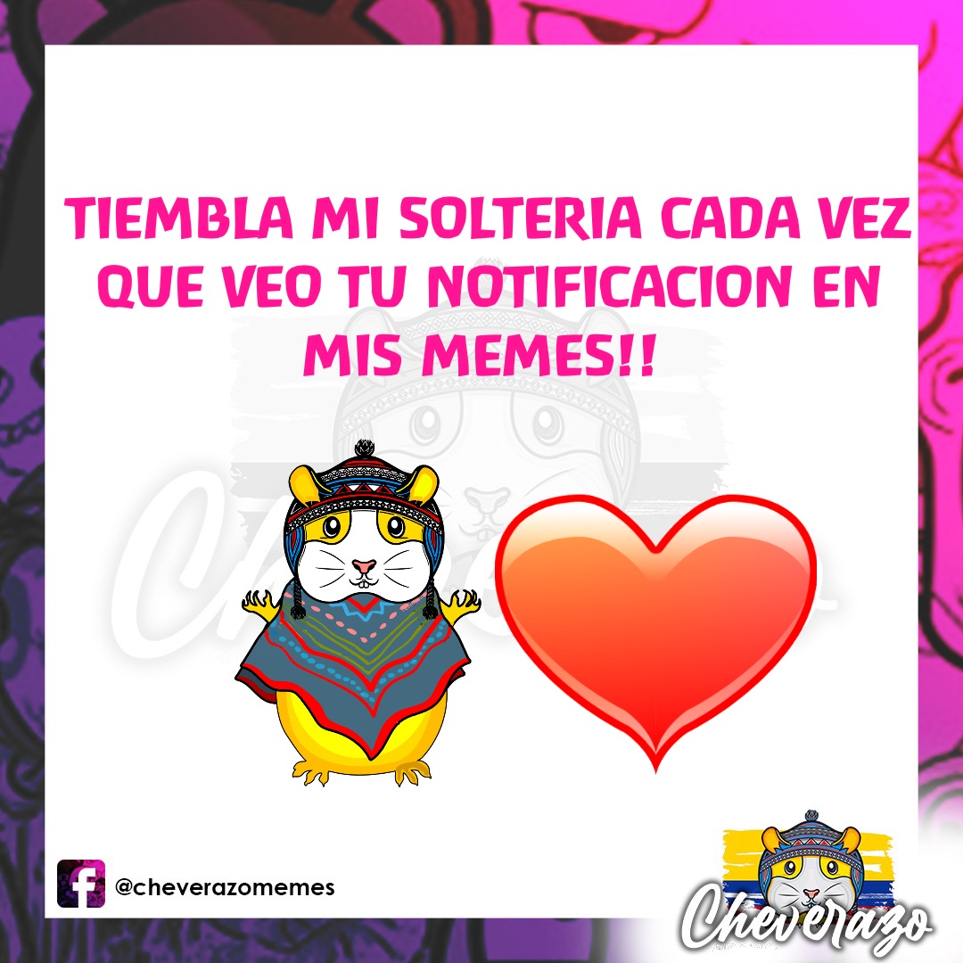 TIEMBLA MI SOLTERIA CADA VEZ QUE VEO TU NOTIFICACION EN MIS MEMES ...
