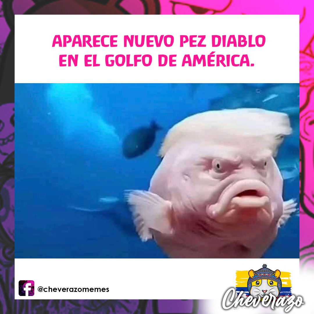 Aparece nuevo pez diablo en el golfo de América. | @Cheverazo | Memes
