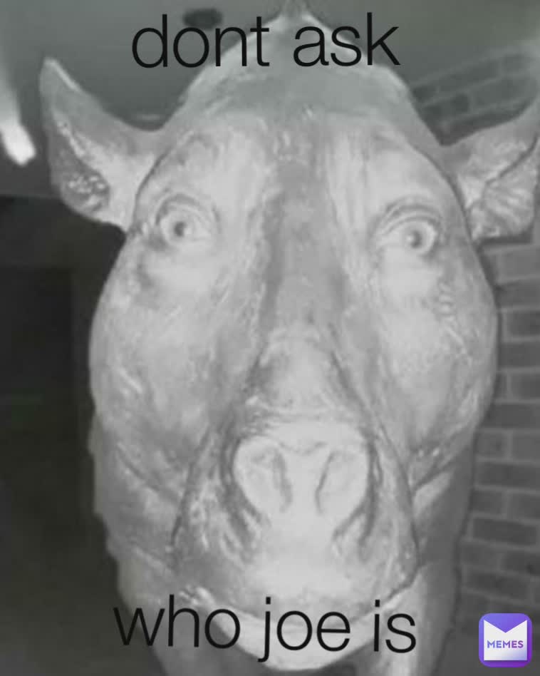 dont ask who joe is | @when_the_impostor_is_sus | Memes