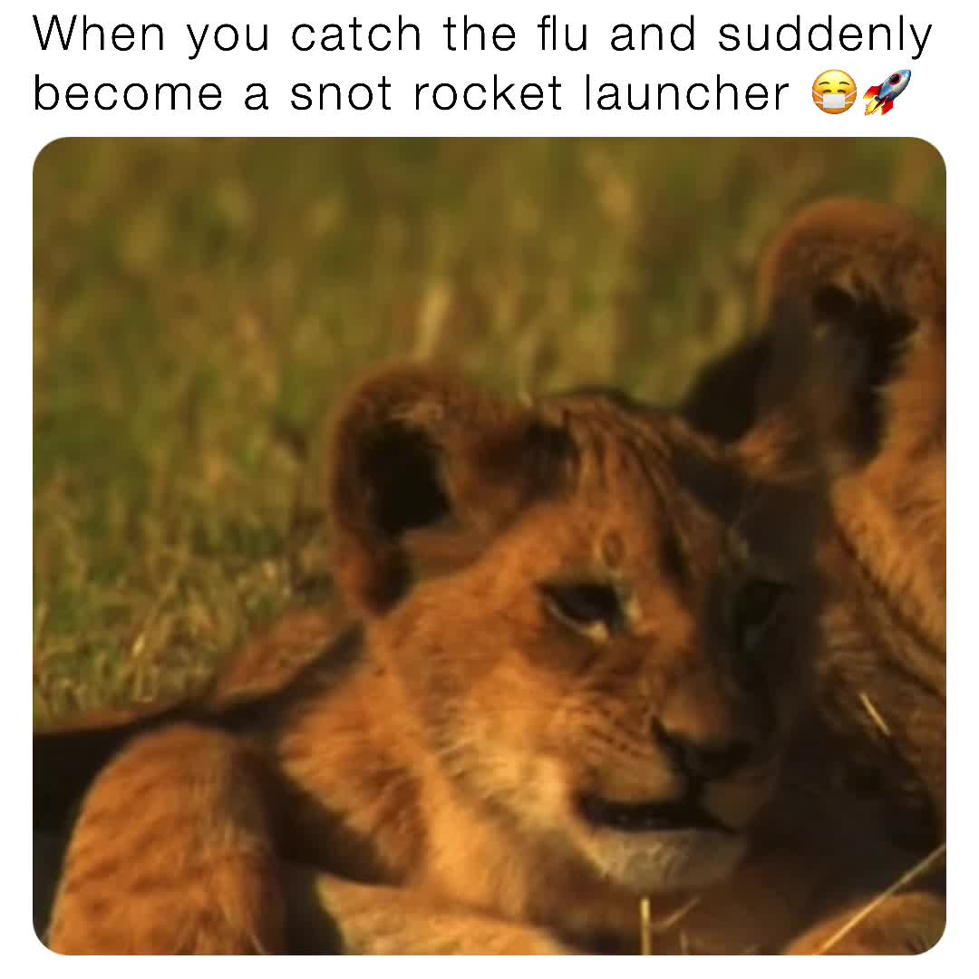 Post by @Sarah.jane.fuller | Memes