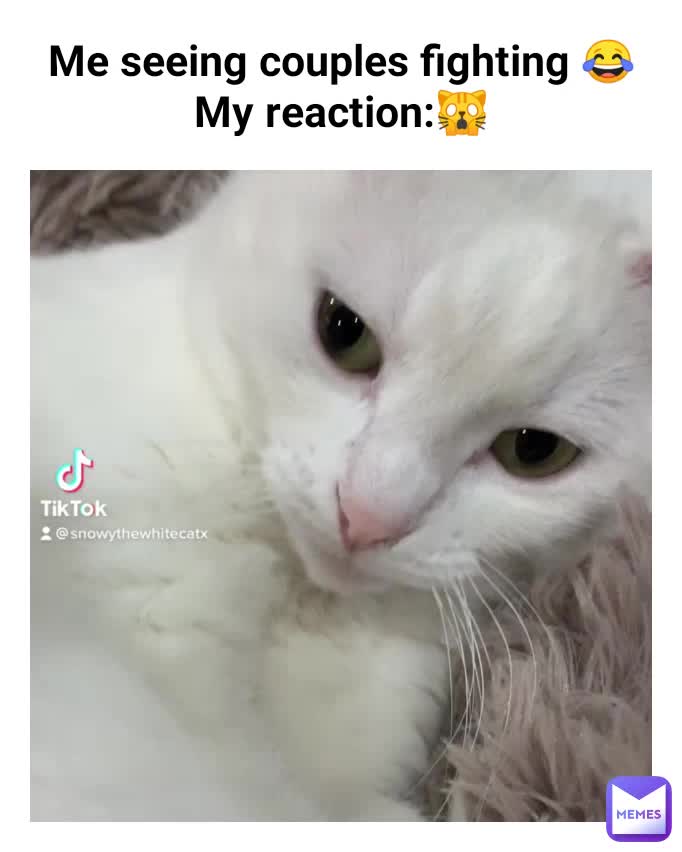 Couples Fighting Meme