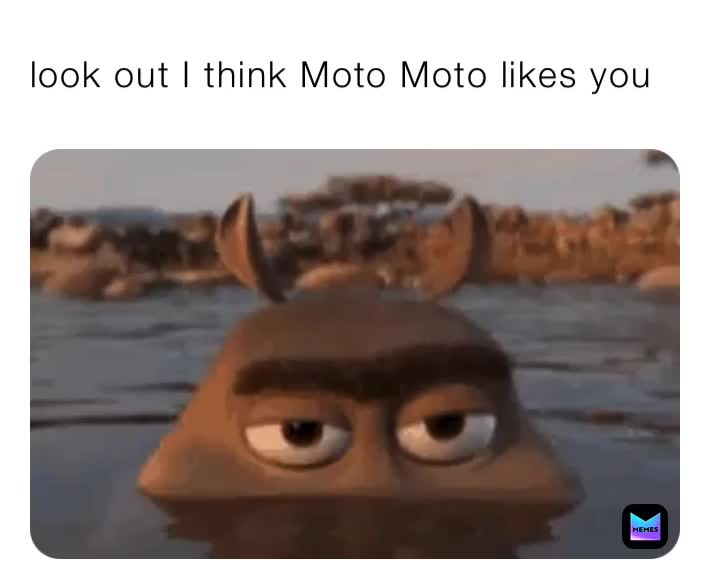 look out I think Moto Moto likes you | @dominic45 | Memes