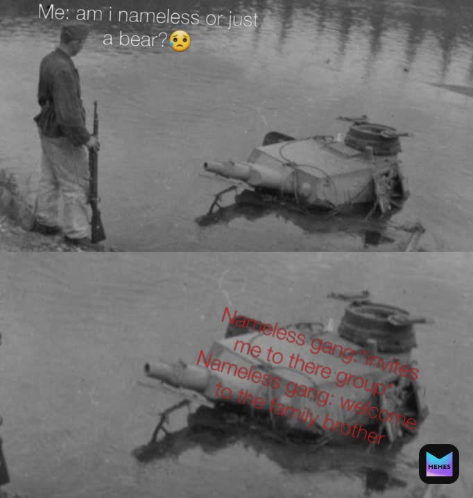 Post by @Nameless_Bear | Memes