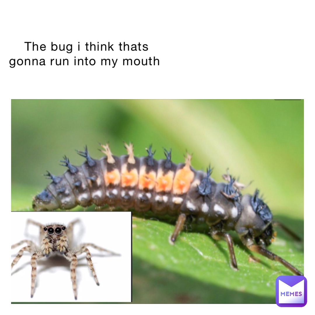 The bug I think thats gonna run into my mouth | @Nylahsmar1 | Memes
