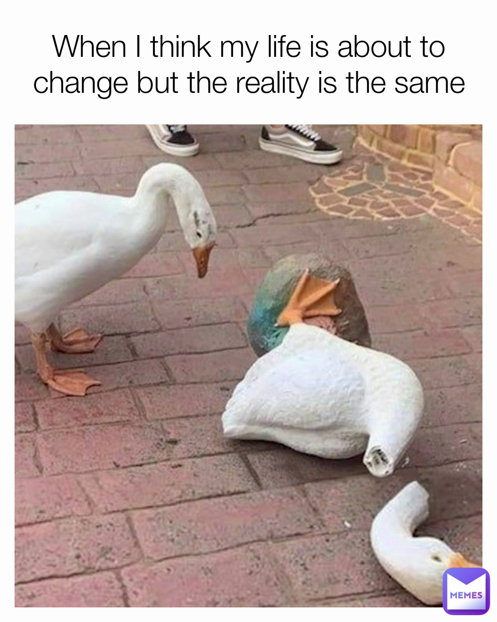 When I think my life is about to change but the reality is the same ...
