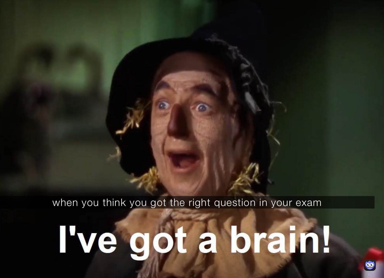 when you think you got the right question in your exam | @the_holy ...