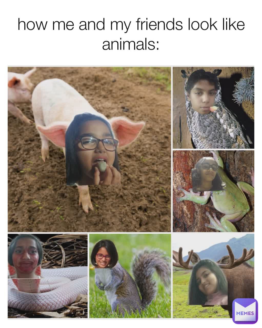 how me and my friends look like animals: | @sidd_1 | Memes