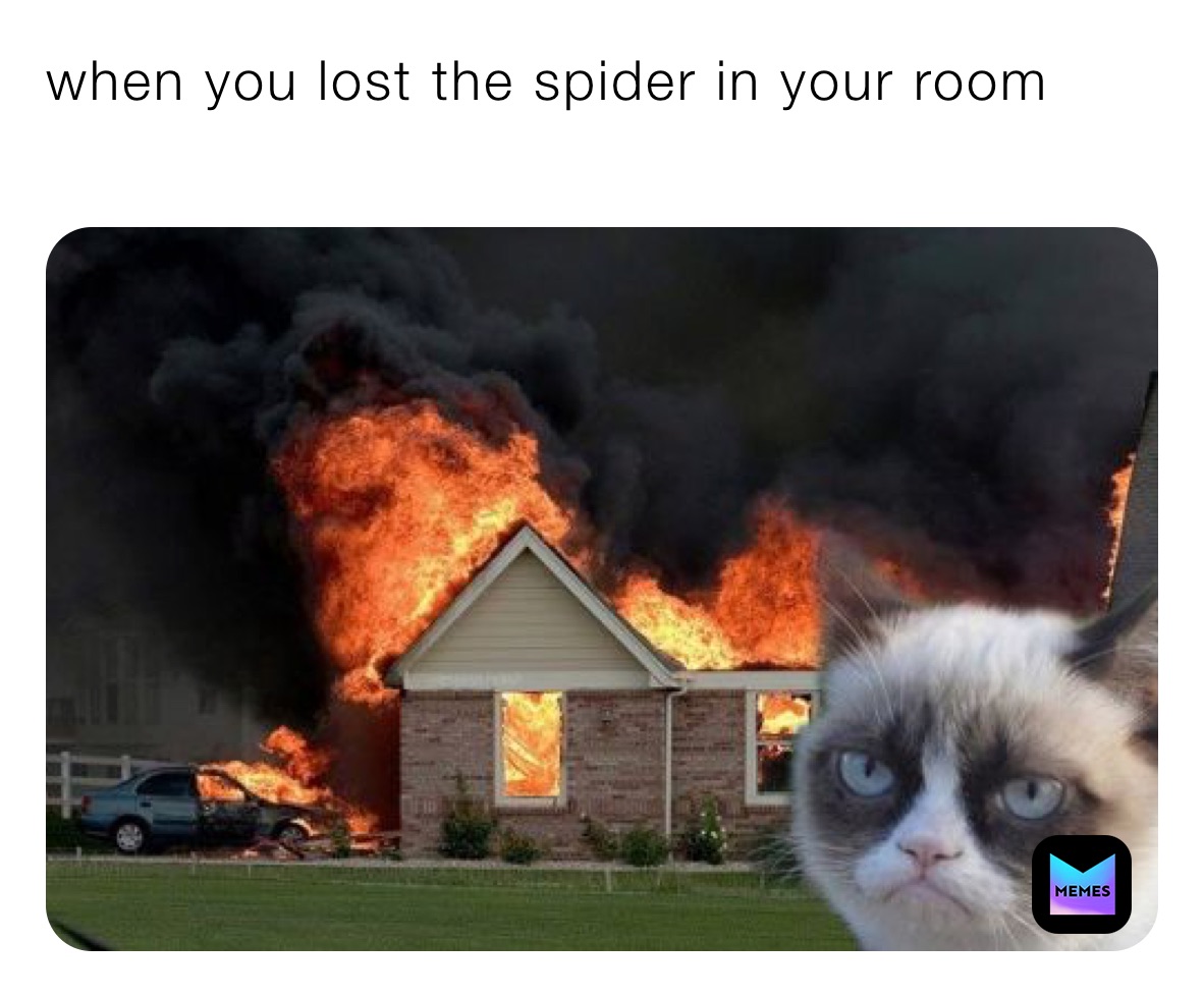 when you lost the spider in your room | @ISENDSCREAMERS | Memes