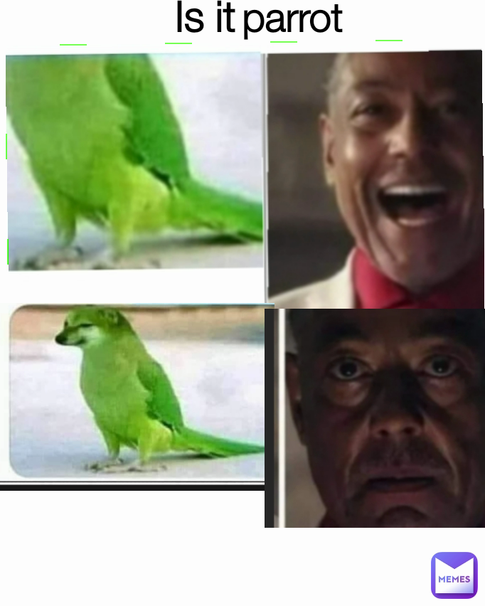 Is it parrot | @hsinaubmli | Memes