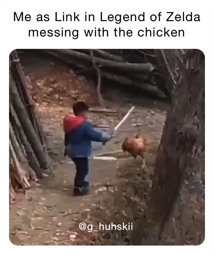 Me as Link in Legend of Zelda messing with the chicken | @g_huhskii | Memes
