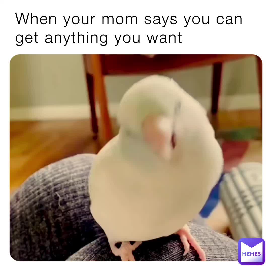 When your mom says you can get anything you want | @Audball | Memes