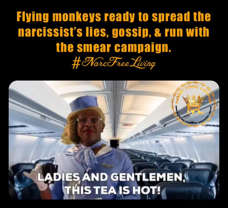 Flying monkeys ready to spread the narcissist’s lies, gossip, & run ...
