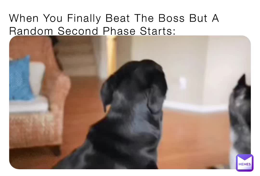 When You Finally Beat The Boss But A Random Second Phase Starts ...