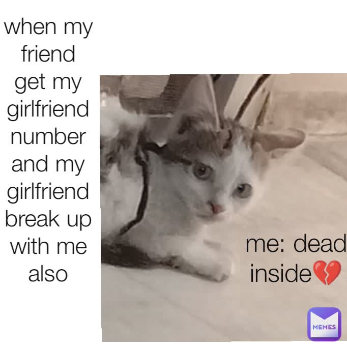 me: dead inside💔 when my friend get my girlfriend number and my ...