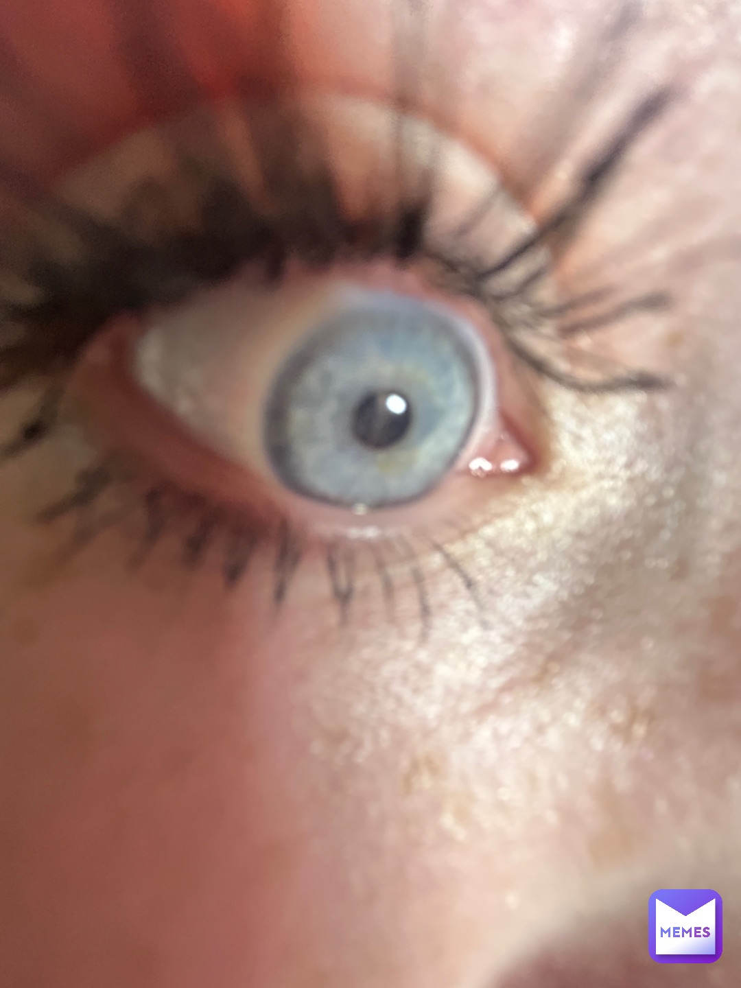 Post by @Chloe_is_rizzless | Memes