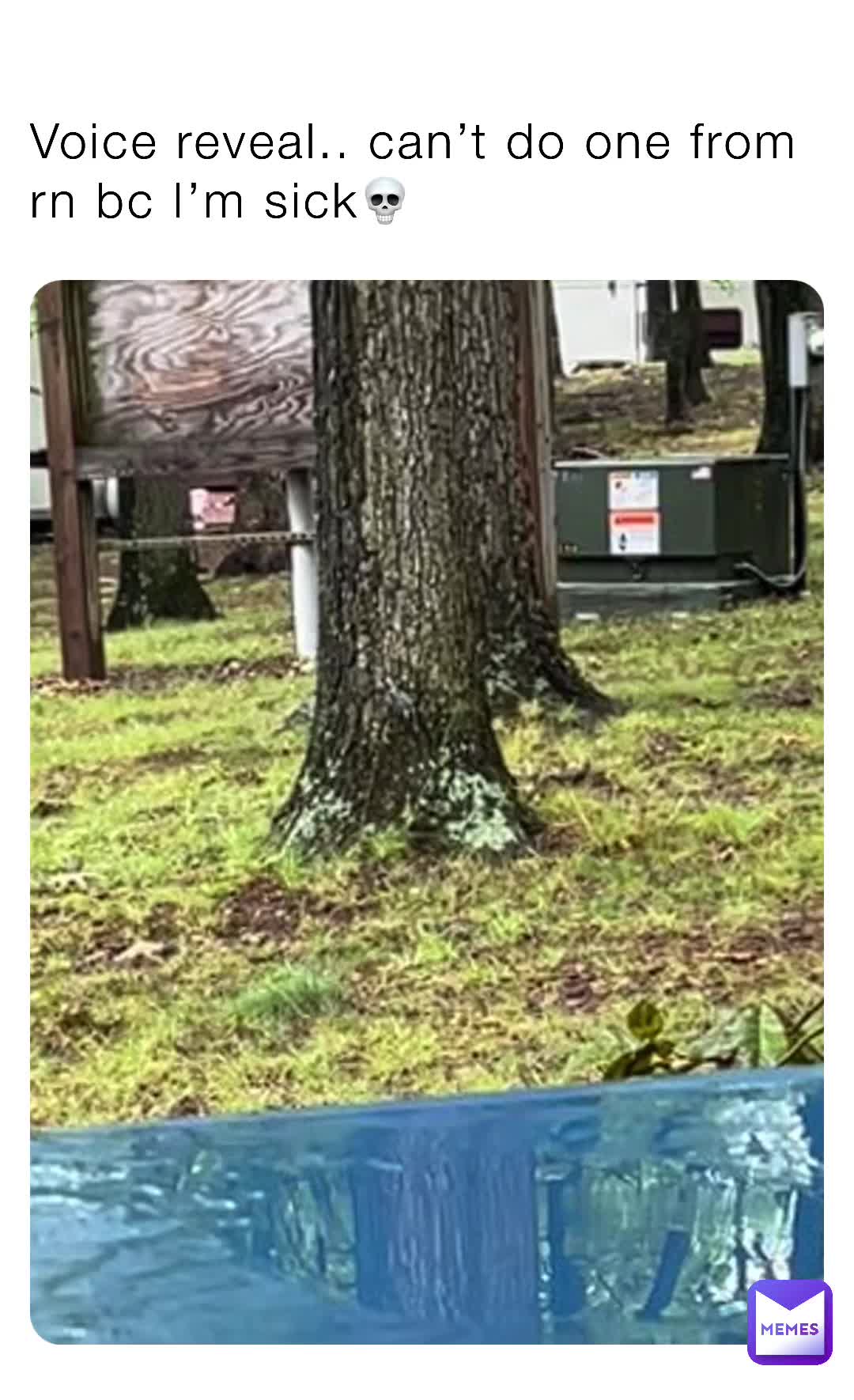 Voice reveal.. can’t do one from rn bc I’m sick💀 | @Chloe_is_rizzless ...