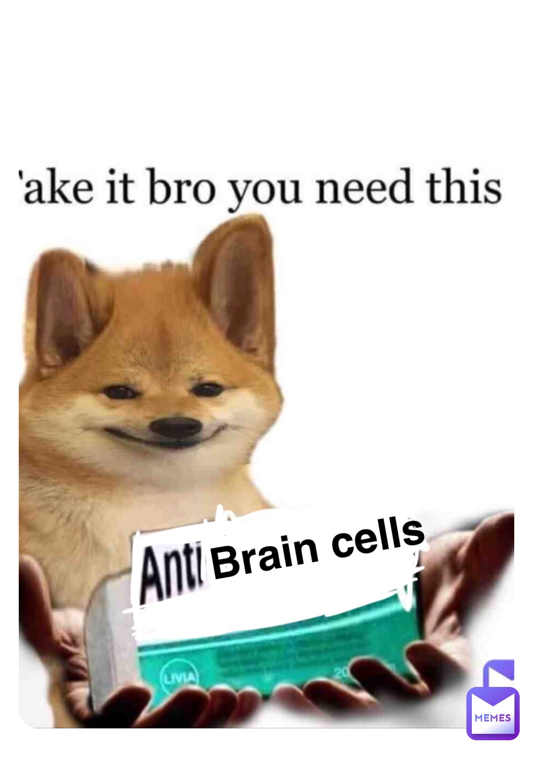 Double tap to edit Brain cells | @tomaskoky39 | Memes