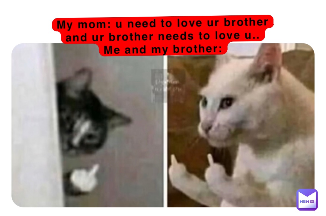 My mom: u need to love ur brother and ur brother needs to love u.. Me ...