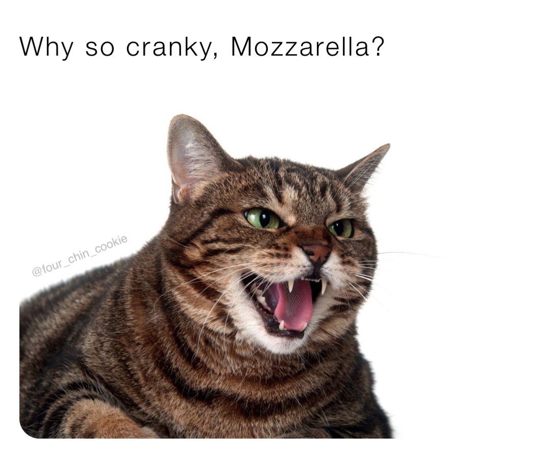 Why so cranky, Mozzarella? | @Four_Chin_Cookie | Memes