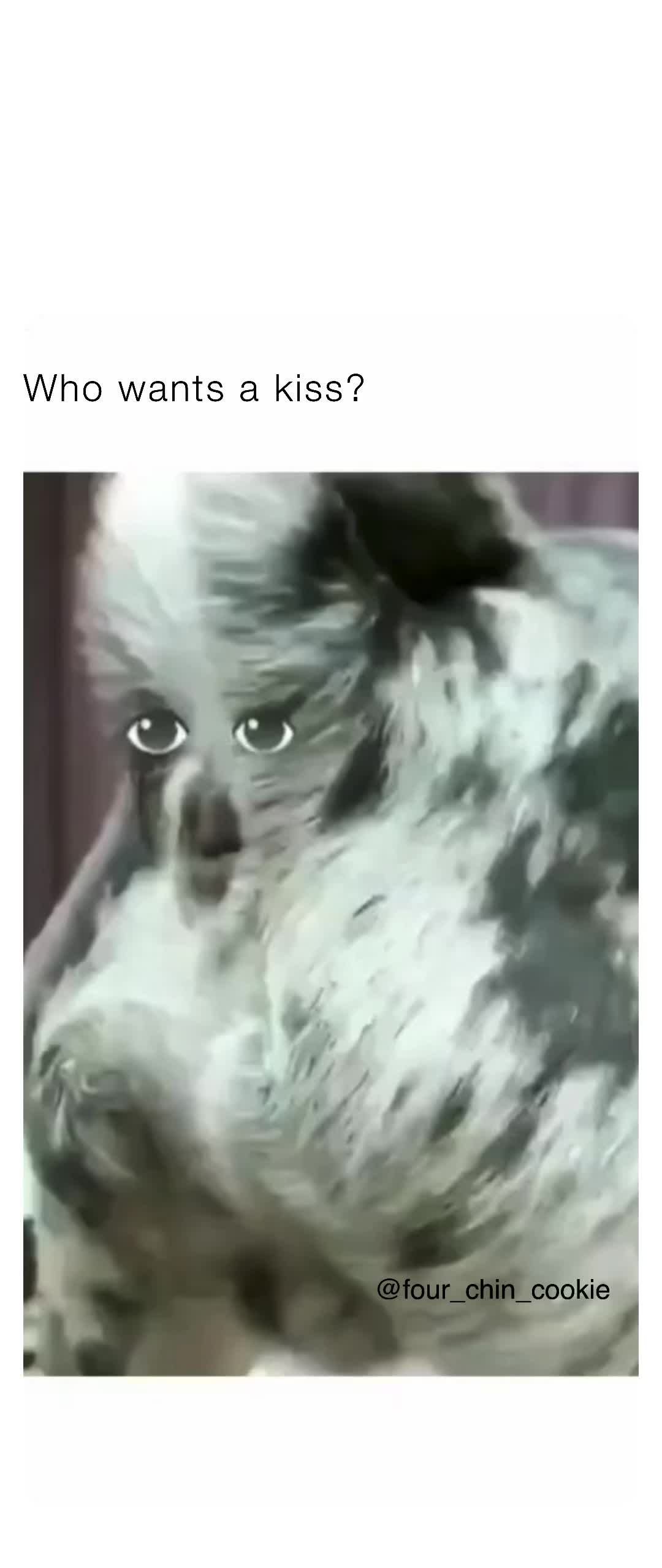 Who wants a kiss? | @Four_Chin_Cookie | Memes
