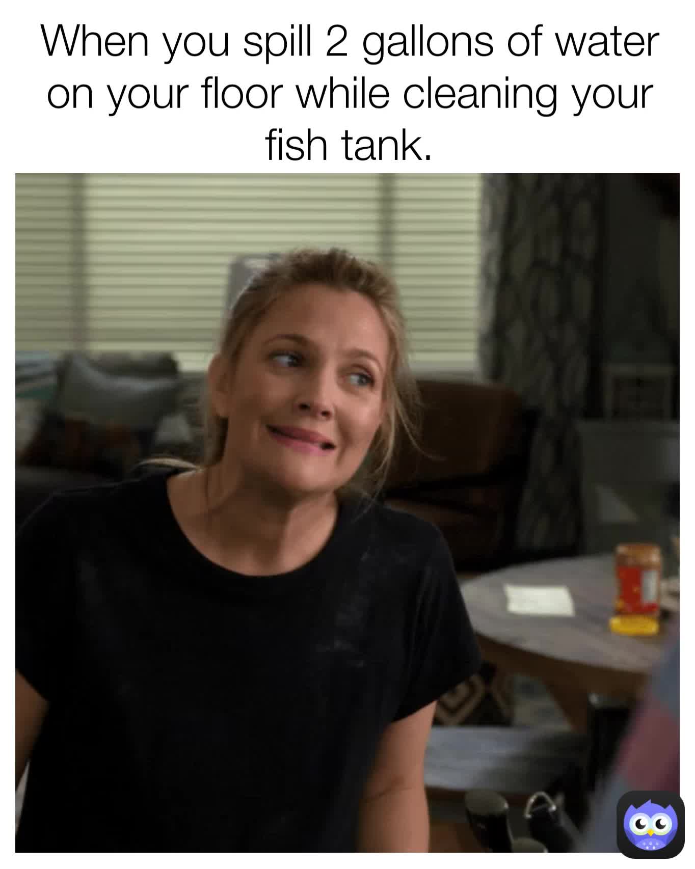 When you spill 2 gallons of water on your floor while cleaning your ...