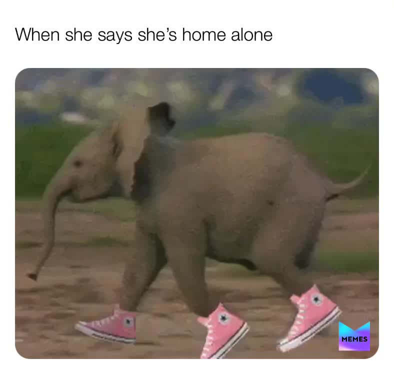 Post by @cameron_quade | Memes