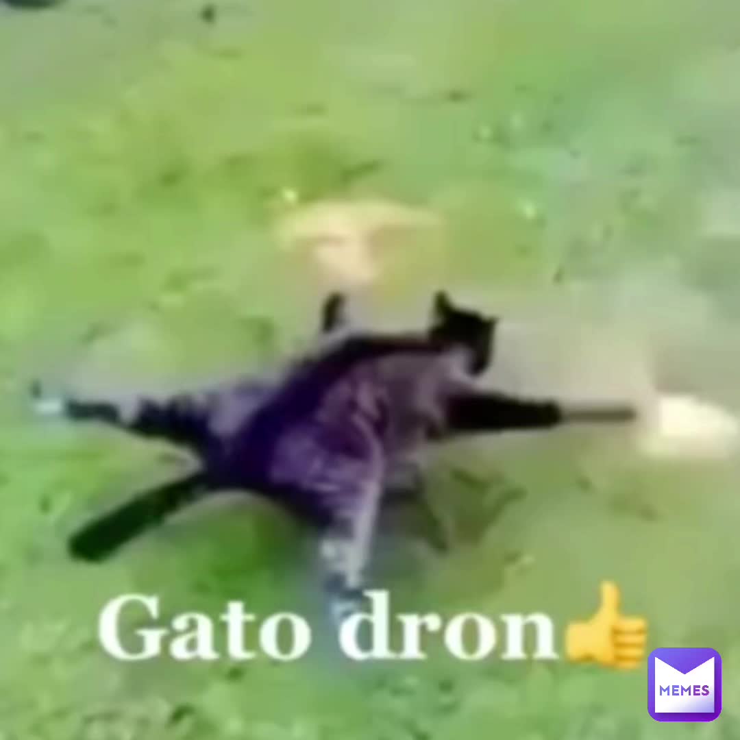 Post by @Figglebottom | Memes