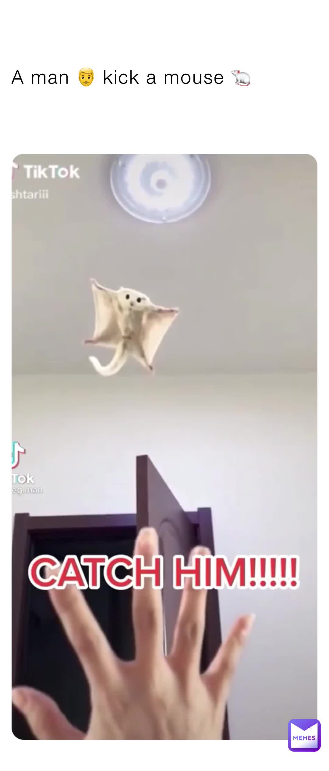 A man 👨 kick a mouse 🐁 | @pingu9449 | Memes