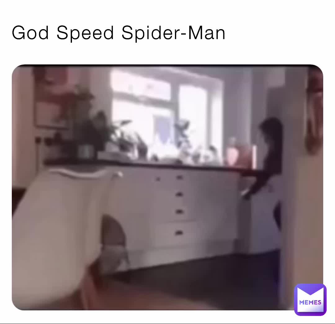 God Speed Spider-Man | @boooooooo.1 | Memes