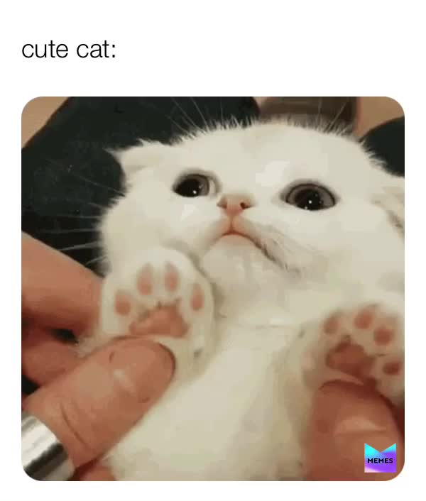 Post by @n8tive_rezz_572 | Memes