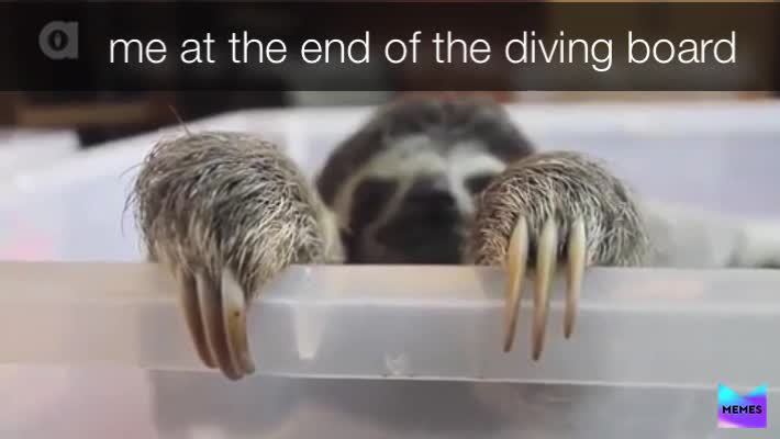 Post by @tls_tuckman | Memes