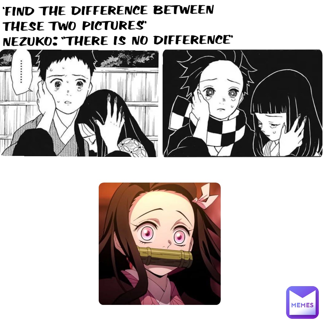 “FIND THE DIFFERENCE BETWEEN THESE TWO PICTURES” NEZUKO: “THERE IS NO ...